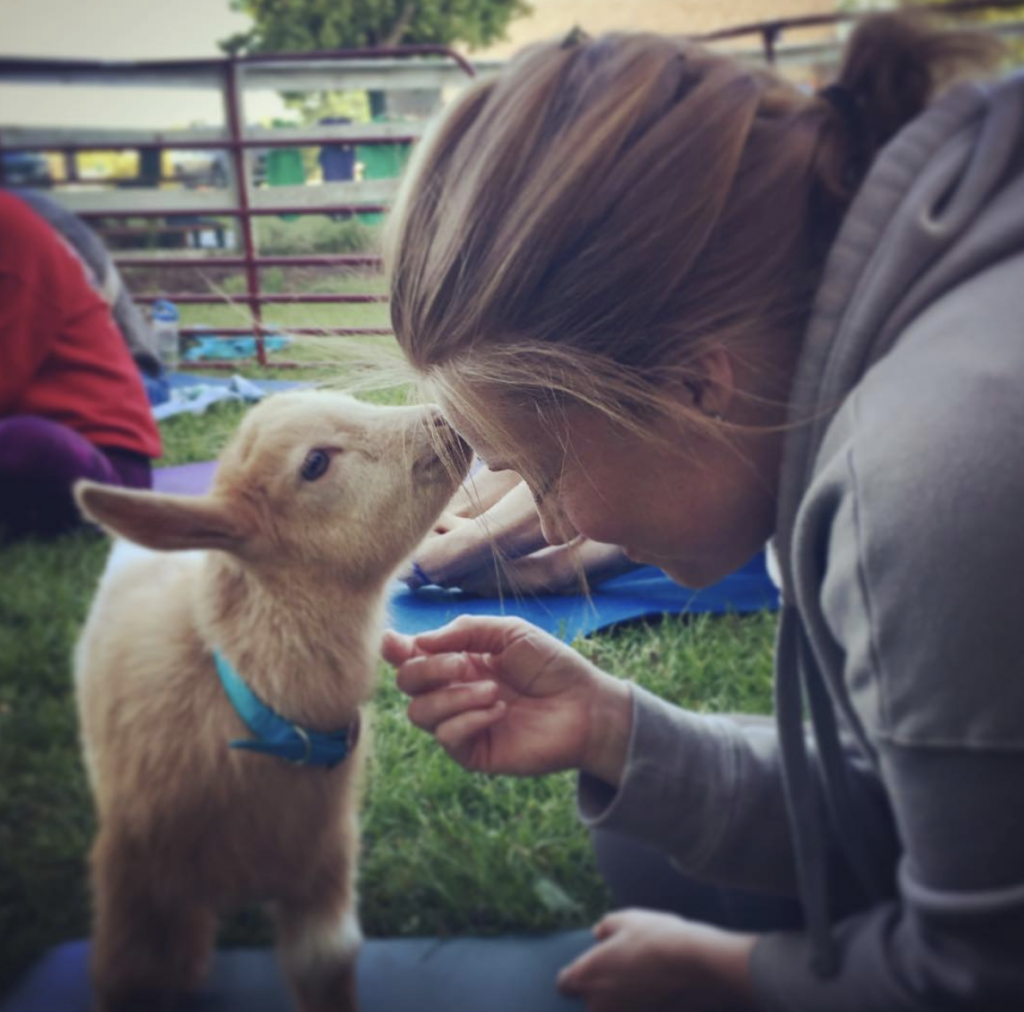 Goat Yoga | Portland, ME | Ashley Flowers Yoga